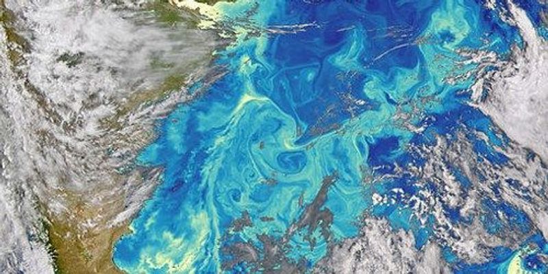 Ocean Microbes Alter Skies? | The Scientist