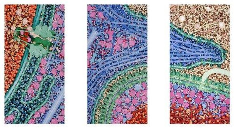 Image of the Day: Intracellular Portrait | The Scientist Magazine®