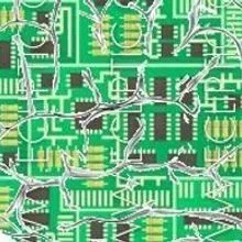 Three Monkey Brains, One Robotic Arm | The Scientist