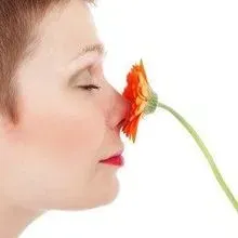 Can We Smell A Trillion Odors? | The Scientist