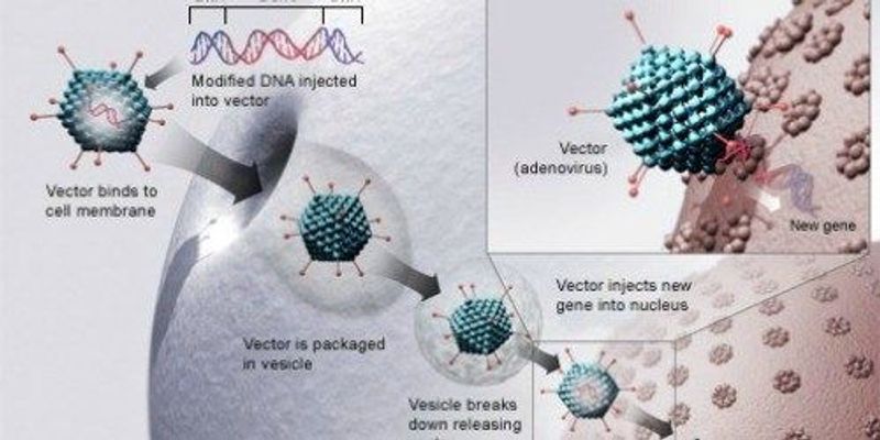 Celladon Shutters Its R&D | The Scientist