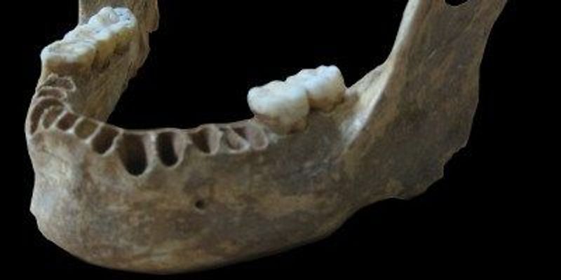 Neanderthal-Human Hybrid Unearthed | The Scientist