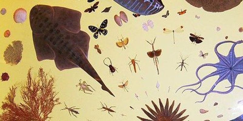 Life Quantified | The Scientist