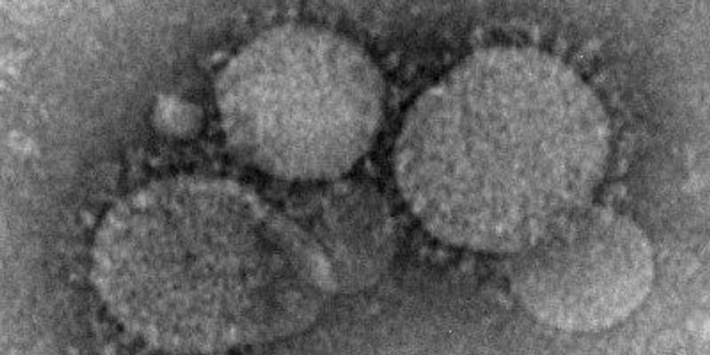MERS Sequence Analysis | The Scientist