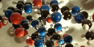 Early Code | The Scientist