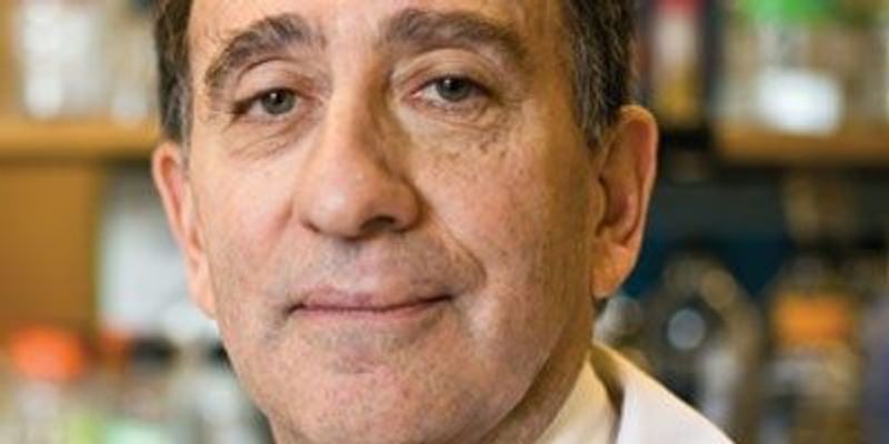 Resistance Fighter | The Scientist