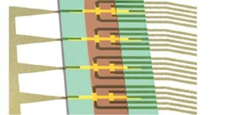 Flow Cytometry On A Chip The Scientist