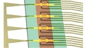 Archivo Facs Flow Cytometry And Cell Sorting | SpringerLink