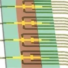 Raman Spectroscopy | The Scientist