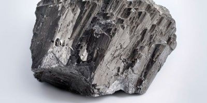 Adapting to Arsenic | The Scientist