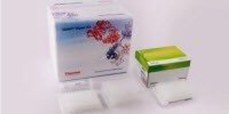 New Protein Analysis Kit Provides Sensitive, Reproducible and Fast ...