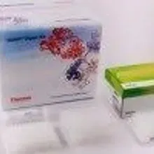 New Protein Analysis Kit Provides Sensitive, Reproducible and Fast ...