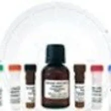 Gyrolab CHO-HCP Kit 1 | The Scientist