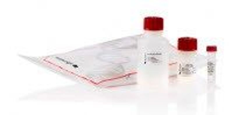 New GeneChip® WT Pico Kit | The Scientist