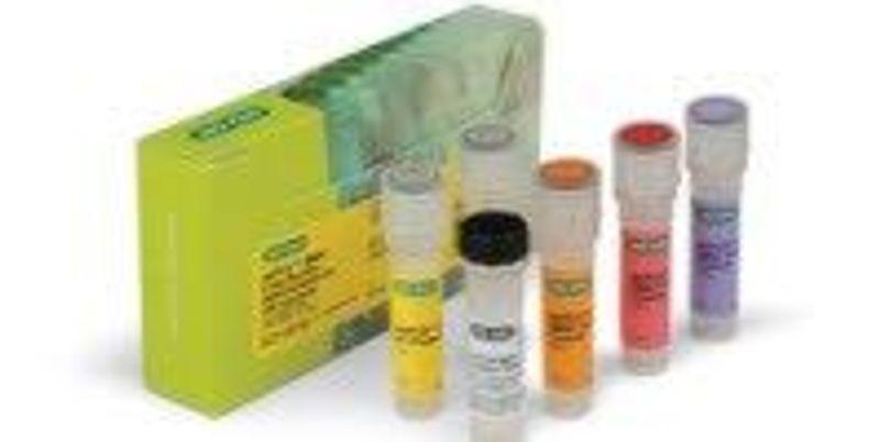 Bio-Rad Introduces Droplet Digital™ PCR PrimePCR™ Assay Kits | The ...