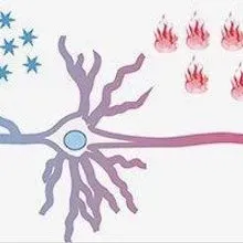 Mouse Mind Control | The Scientist