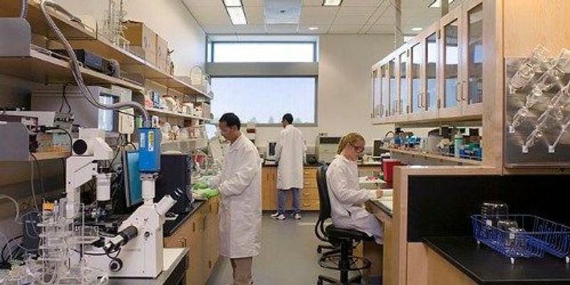 Lab Bloopers Galore | The Scientist