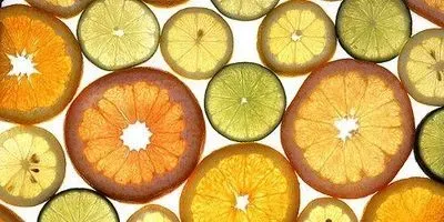 Citrus History | The Scientist