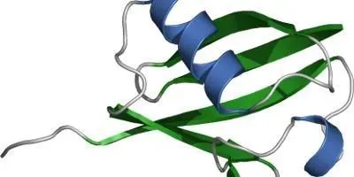 Cellular Garbage Disposal Illuminated | The Scientist