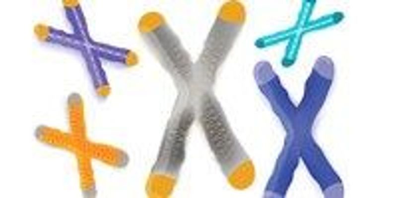 Control ALT, Delete Cancer | The Scientist