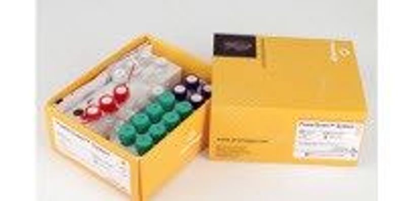 Promega PowerQuant™ System | The Scientist