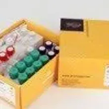 Promega Profile | The Scientist