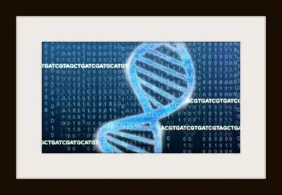 Horizontal Gene Transfer a Hallmark of Animal Genomes? | The Scientist