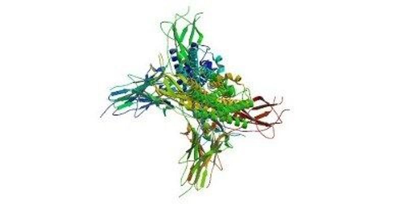 FDA OKs First Biosimilar | The Scientist