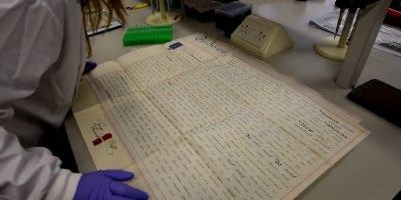 Reading Between the Pages | The Scientist