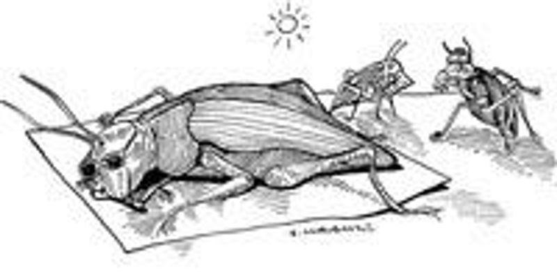 A Deathly Pallor | The Scientist