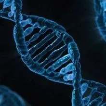 Exploring the Epigenome | The Scientist