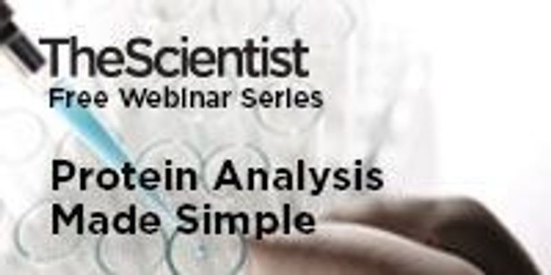 Protein Analysis Made Simple | The Scientist