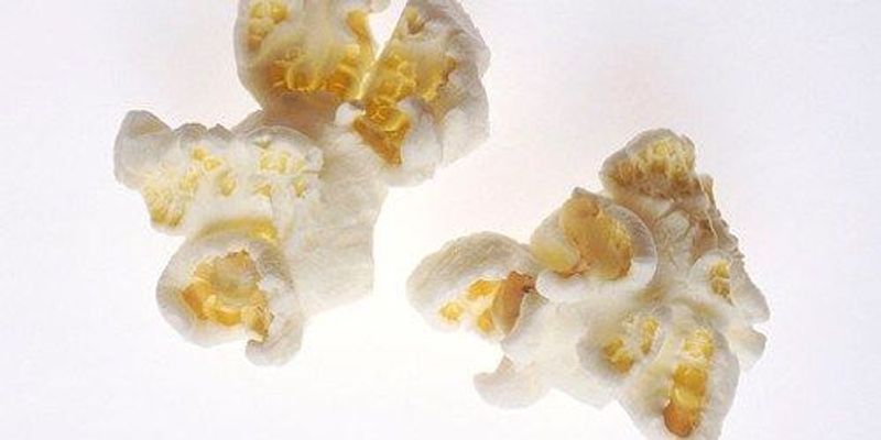 Snap, Crackle, Pop! | The Scientist