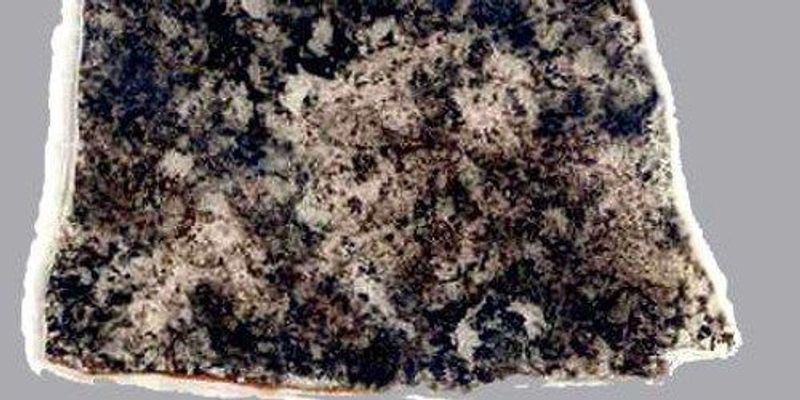 Trapped in Time | The Scientist