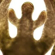 Image of the Day: Foot-long Cell | The Scientist
