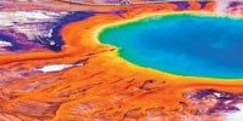The Energy of Life | The Scientist