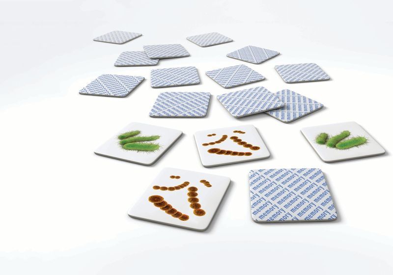 Thanks for the Memories | The Scientist