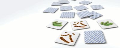 Innate Immunity News, Articles | The Scientist Magazine® | Page 2