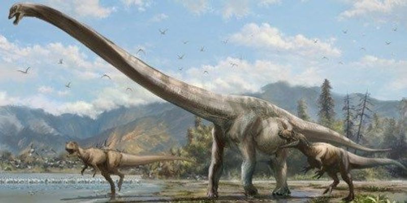 Image of the Day: “Dragon” of Qijiang | The Scientist