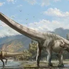 Image of the Day: “Dragon” of Qijiang | The Scientist