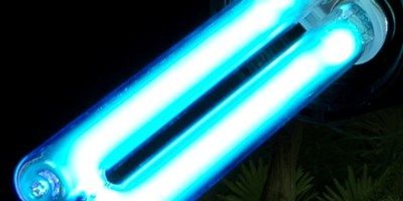 UV Light Doesn’t Fully Purify | The Scientist