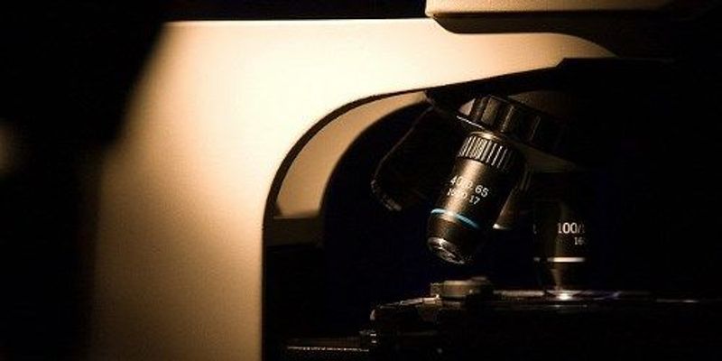 Zooming In | The Scientist