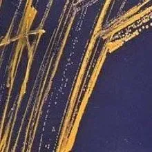 Imagining a “World Without Microbes” | The Scientist