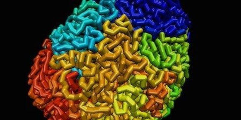 DNA Loop-the-Loops | The Scientist