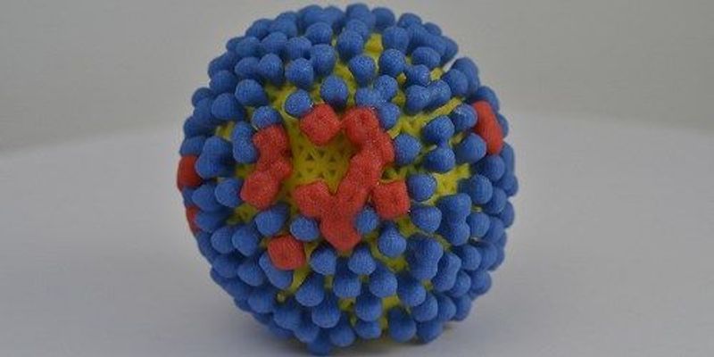 Mutated Flu May Dodge Vaccine Protection | The Scientist