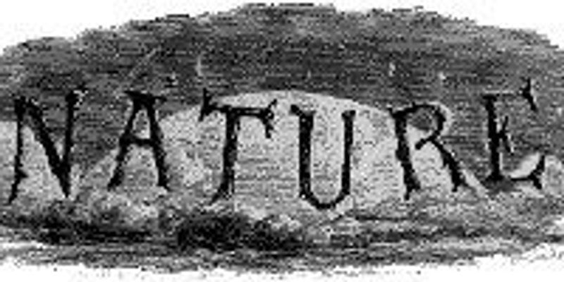 Nature Opens the Archives | The Scientist Magazine®