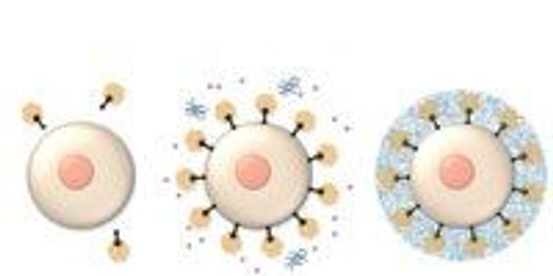 Bespoke Cell Jackets | The Scientist