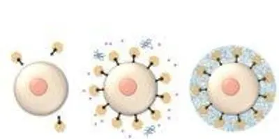 Bespoke Cell Jackets | The Scientist