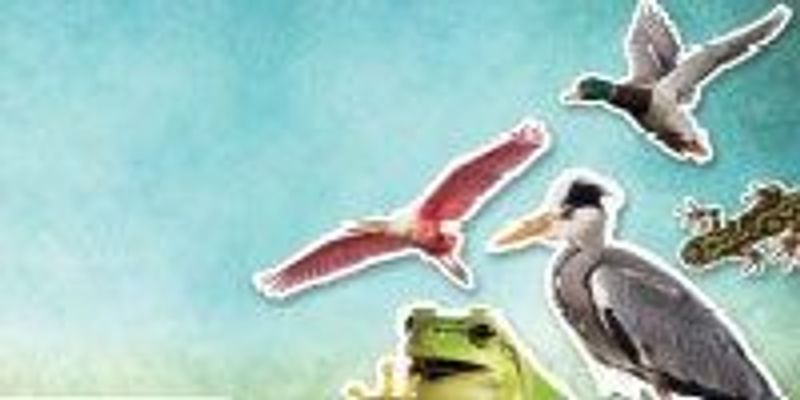 A Race Against Extinction | The Scientist