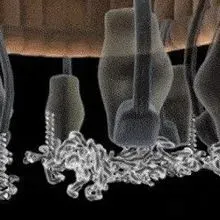 Animation | The Scientist